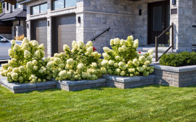 Five Golden Rules for Creating a Well-Designed Flowerbed